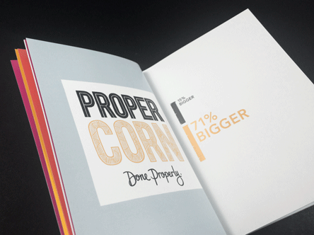 Brand Guidelines Printing for Propercorn