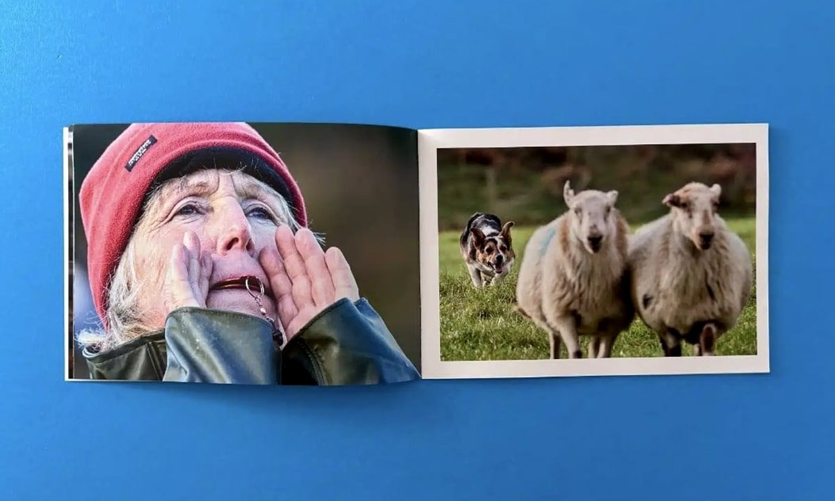 How to Print a Zine: A Beginner's Guide at Home